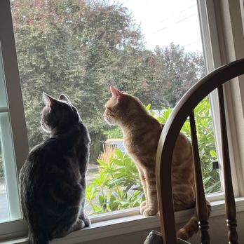 THE PIXIE PROJECT - Updated December 2025 - 39 Photos & 97 Reviews ...