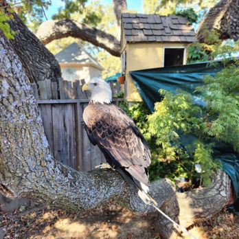 ALDEN LANE NURSERY - Updated June 2025 - 416 Photos & 227 Reviews - 981 ...