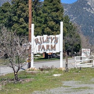 Riley’s Apple Farm - 272 Photos & 164 Reviews - Pick Your Own Farms ...