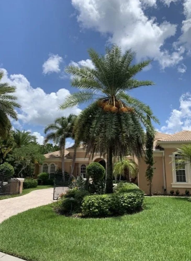 IRONWOOD TREE SERVICES - Updated July 2025 - Request a Quote - 27 ...