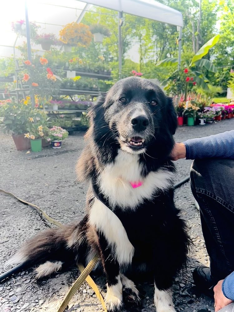 SPRING VALLEY NURSERIES - Updated December 2025 - 38 Photos - 4038 Rte ...