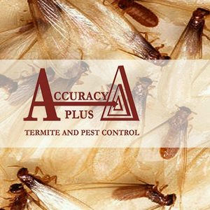 PACIFIC COAST TERMITE - Updated February 2025 - 34 Photos & 255 Reviews ...