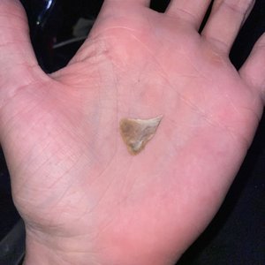 RICE BOX - 48 Photos & 97 Reviews - 1529 N Wood Ave, Florence, Alabama ...