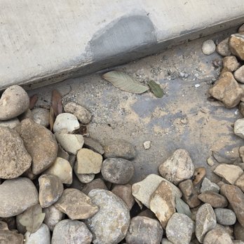 MOON VALLEY NURSERIES - Updated October 2025 - 51 Photos & 67 Reviews - 3550 N Loop 1604 E, San ...