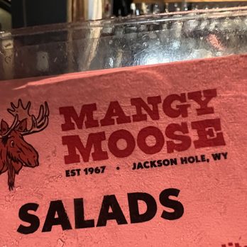 MANGY MOOSE - TEMP. CLOSED - Updated May 2024 - 490 Photos & 648 ...