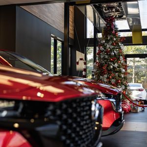 CARTOPIA 46 - Updated September 2025 - 265 US-46, Elmwood Park, New ...