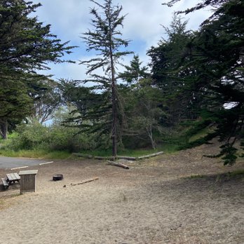 BODEGA DUNES CAMPGROUNDS - Updated December 2025 - 311 Photos & 108 ...