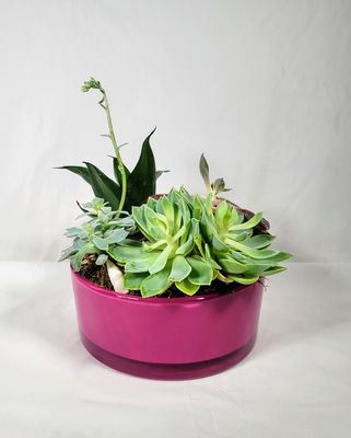 ALLAN’S FLOWERS & MORE - Updated August 2025 - 211 Photos & 134 Reviews ...