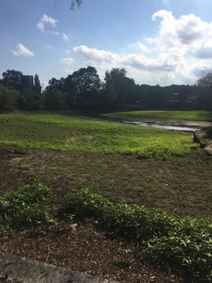 WINCHESTER PUBLIC LIBRARY - Updated October 2025 - 14 Photos & 11 ...