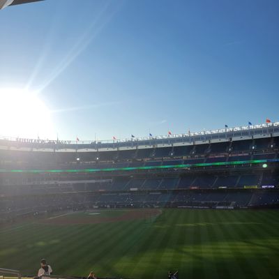 YANKEE STADIUM TEAM STORE - Updated December 2025 - 1 E 161st St, Bronx ...