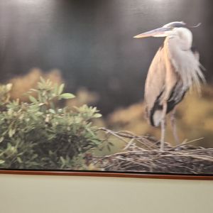 ADVENTHEALTH IMAGING CENTER - APOPKA - Updated December 2025 - 32 ...