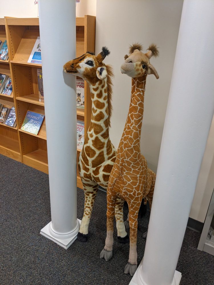 CHARLES COUNTY PUBLIC LIBRARY - POTOMAC BRANCH - Updated July 2025 - 20 ...