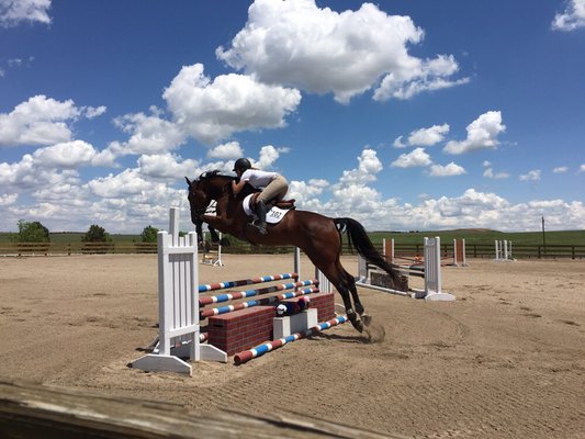 LITTLE RAVEN RANCH - Updated July 2025 - 12 Photos - 9609 N Roxborough ...