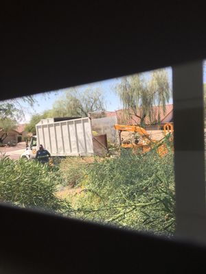 TREE PROS - Updated October 2025 - 52 Photos & 226 Reviews - 2836 W ...