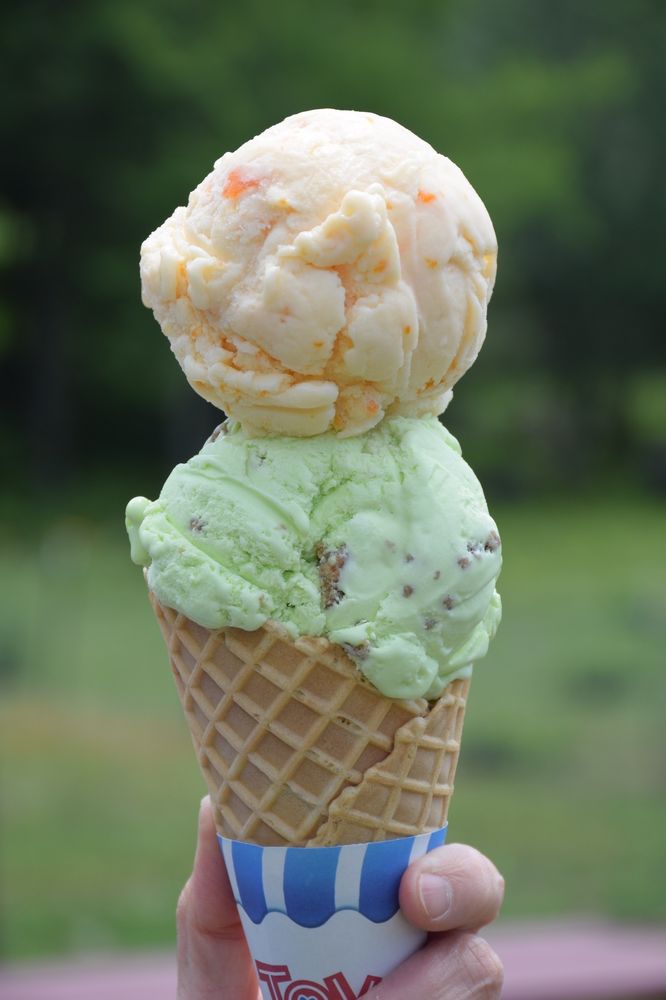 ROTA SPRING FARM - Updated May 2026 - 127 Photos & 263 Reviews - 117 ...