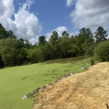 GULF COAST GATOR RANCH & TOURS - Updated December 2025 - 241 Photos ...