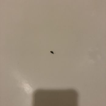 RESIDENCE INN DECATUR FORSYTH - Updated May 2025 - 129 Photos & 24 ...