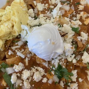 RUSTIKA CAFE & BAKERY - 426 Photos & 281 Reviews - 3237 Southwest Fwy ...