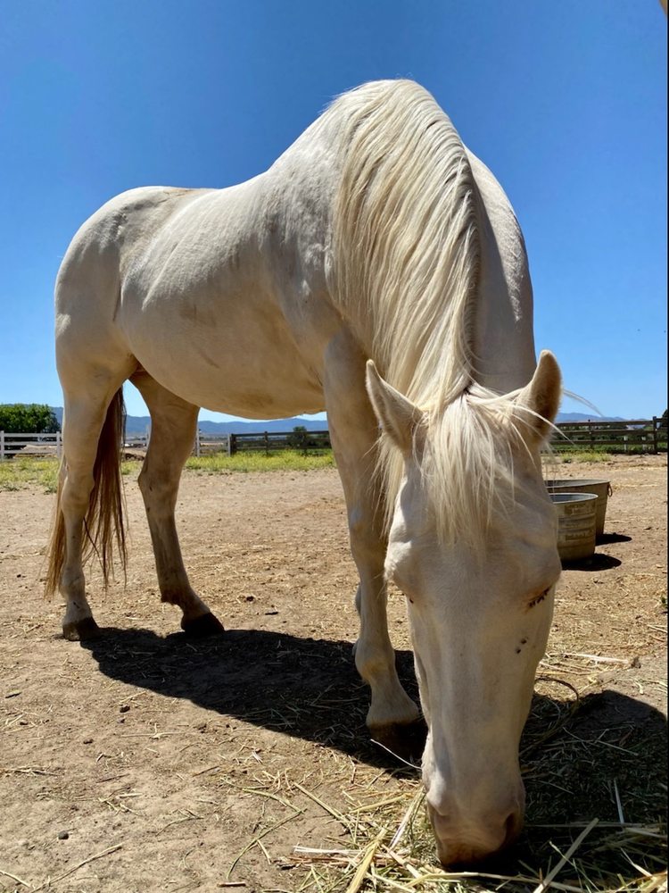LAZY K RANCH CHERRY U-PICK - TEMP. CLOSED - Updated June 2025 - 88 ...
