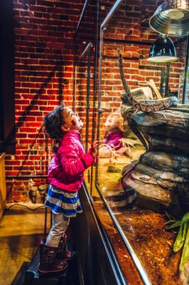 MOBIUS DISCOVERY CENTER - Updated April 2025 - 49 Photos & 26 Reviews ...