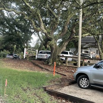 COLINGTON CAFE - Updated May 2024 - 298 Photos & 381 Reviews - 1029 ...