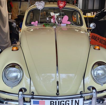 HAGERTY - Updated January 2026 - 138 Photos & 360 Reviews - 141 Rivers ...