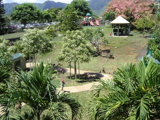 SEAGULL SCHOOLS AT KAILUA - Updated December 2025 - 1300 Kailua Rd ...