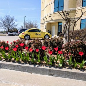 TRIAD BANK, N.A - Updated May 2025 - 34 Photos - 5951 S Lewis Ave ...