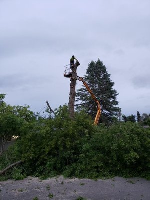 JAKE THE TREE GUY - Updated December 2025 - 19 Photos - Salem, Oregon ...
