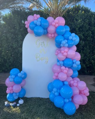 COACHELLA VALLEY BALLOONS - Updated November 2025 - 12 Photos - La ...