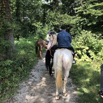 FOREST VIEW FARMS - Updated December 2025 - 65 Photos & 58 Reviews ...