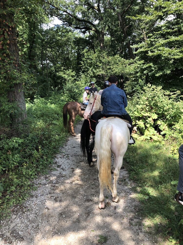 FOREST VIEW FARMS - 56 Photos & 44 Reviews - 16717 Lockwood Ave, Tinley ...