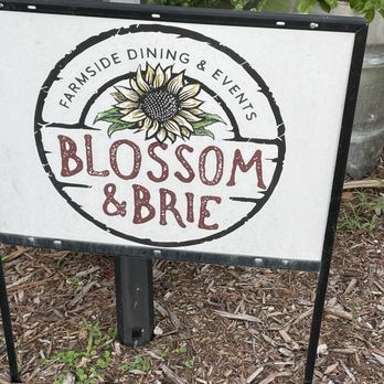 BLOSSOM & BRIE - Updated November 2024 - 97 Photos & 34 Reviews - 8250 ...