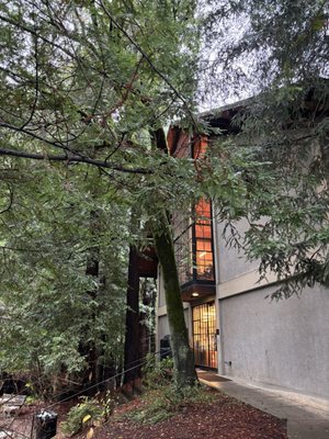 MILL VALLEY PUBLIC LIBRARY - Updated October 2025 - 77 Photos & 93 ...