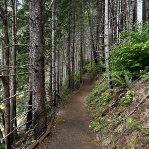 CAMP TADMOR - Updated June 2025 - 43943 McDowell Creek Dr, Lebanon ...