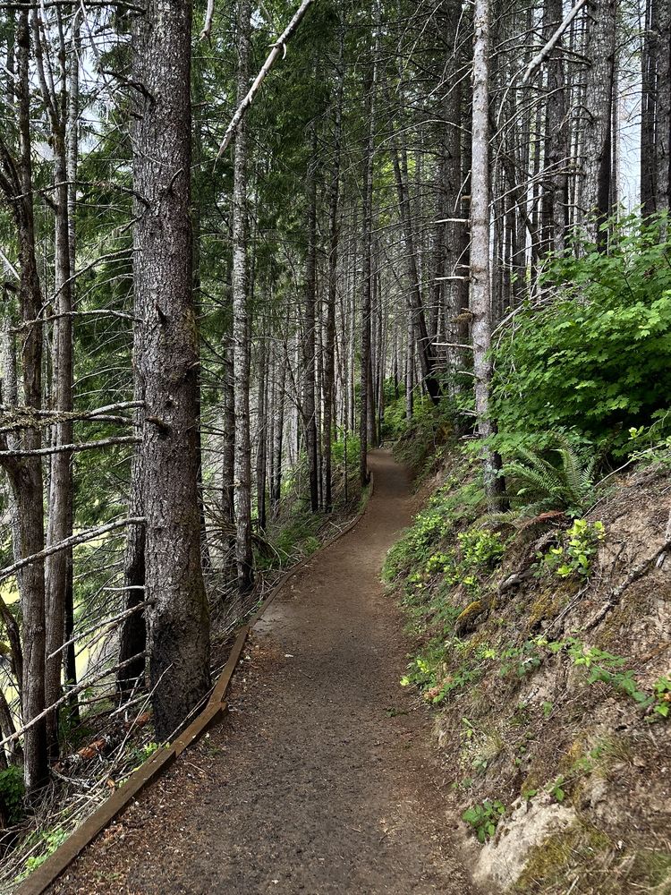 TERWILLIGER HOT SPRINGS - Updated December 2025 - 87 Photos & 53 ...