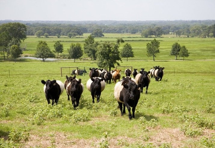 SUNDOWN RANCH - Updated December 2025 - 17 Reviews - 3120 Vz County Rd ...