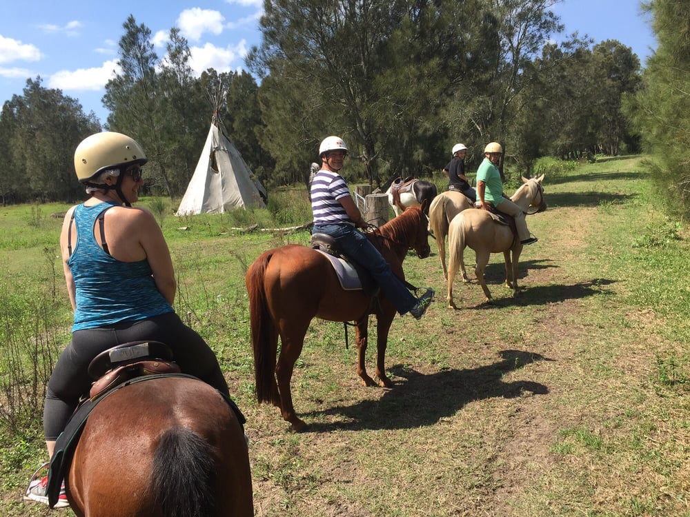 SAHARA TRAILS HORSE RIDING & FARM STAYS - 9 Port Stephens Dr, Anna Bay ...