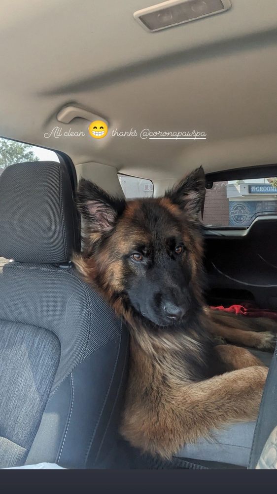 M & L AUTO COLLISION - Updated December 2025 - 103 Photos & 148 Reviews ...