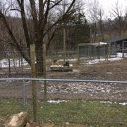 THE WOLF SANCTUARY OF PA - 254 Photos & 79 Reviews - 465 Speedwell ...