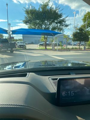 CARNATION AUTO SPA - Updated June 2025 - 27 Photos & 65 Reviews - 4915 ...