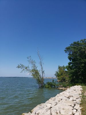 LIONS PARK - Updated December 2025 - 617 Lasalle St, Sandusky, Ohio ...