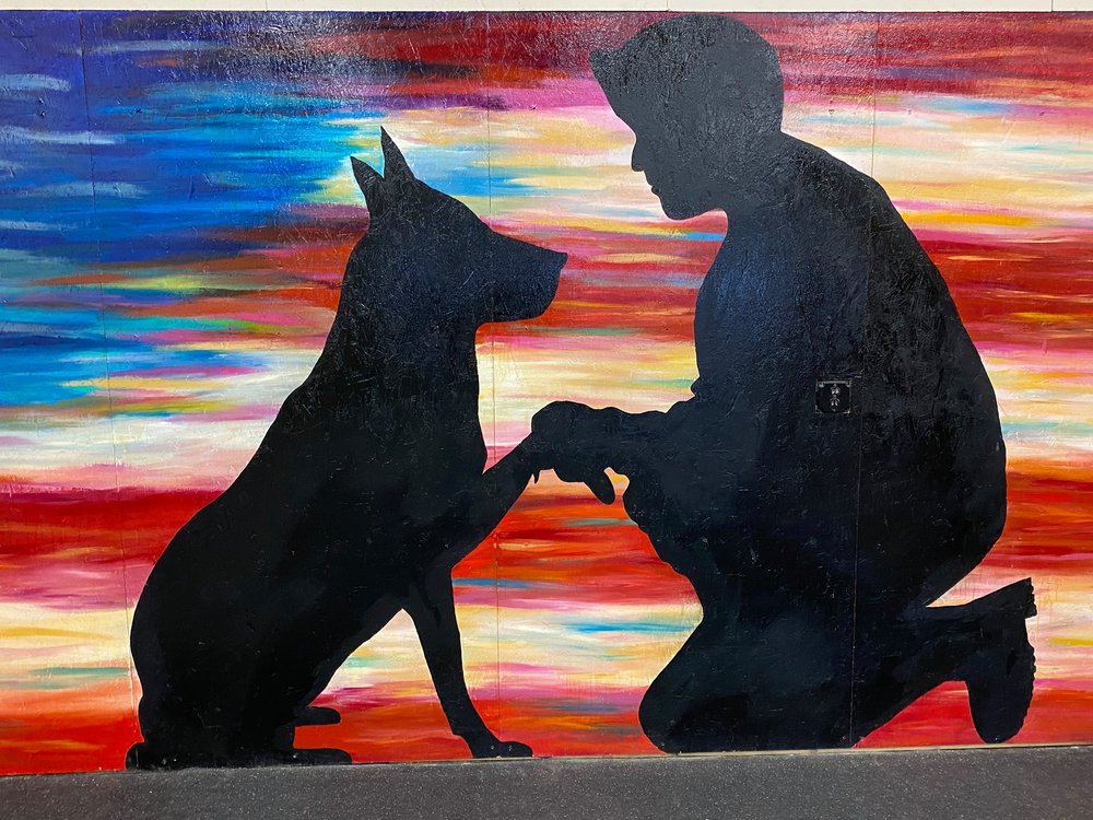 VTSD-VETERANS TRAINING SPECIAL DOGS - Updated April 2025 - Request ...