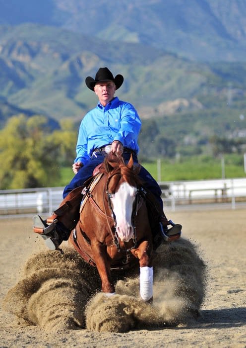 FORAN PERFORMANCE HORSES - Updated November 2025 - 15 Photos - 11127 ...