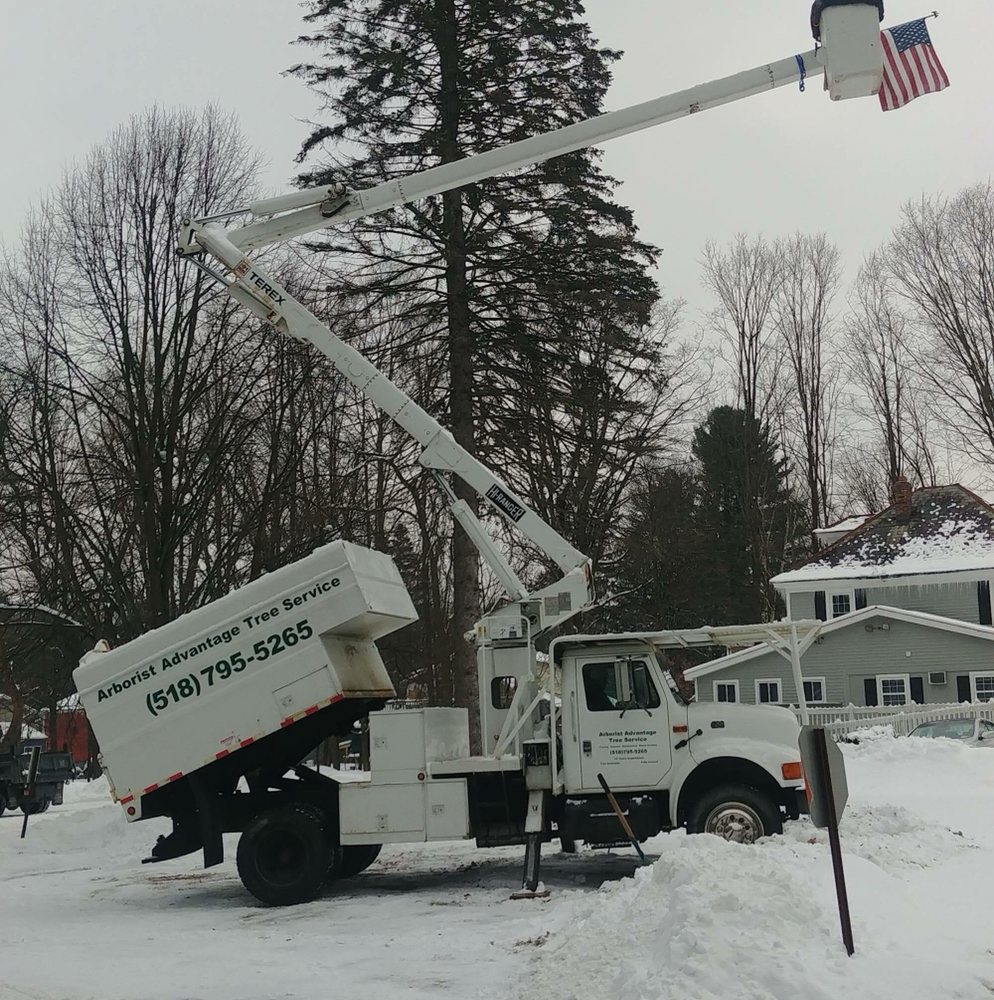 ARBORIST ADVANTAGE - Updated September 2025 - 556 Maple Ave, Saratoga ...
