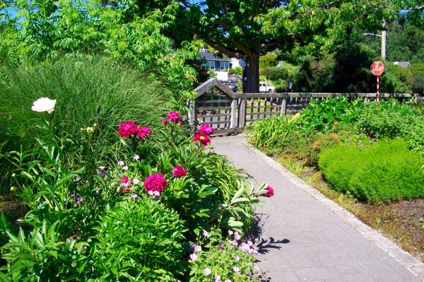 CENTER FOR URBAN HORTICULTURE - Updated May 2025 - 43 Photos & 16 ...