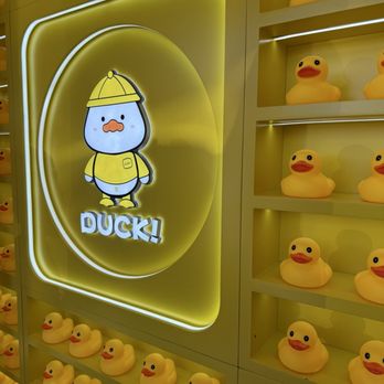 DUCK - Updated December 2025 - 57 Photos & 34 Reviews - 1004 Diffley Rd ...