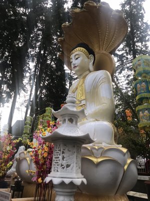 KSITIGARBHA TEMPLE CHUA DIA TANG - 186 Photos - 1705 Filbert Rd ...