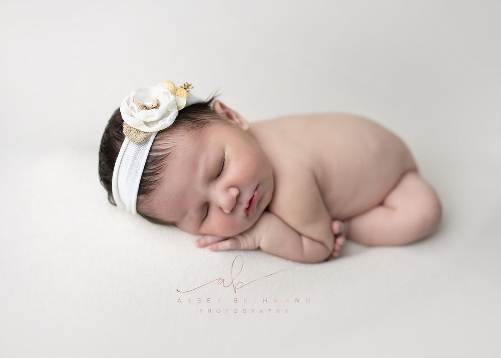 ABBEY BETHMANN PHOTOGRAPHY - Updated January 2025 - 23 Photos - 206 ...