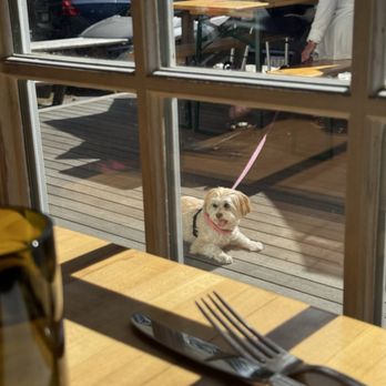 THE ALNA STORE - Updated December 2025 - 123 Photos & 57 Reviews - 2 ...